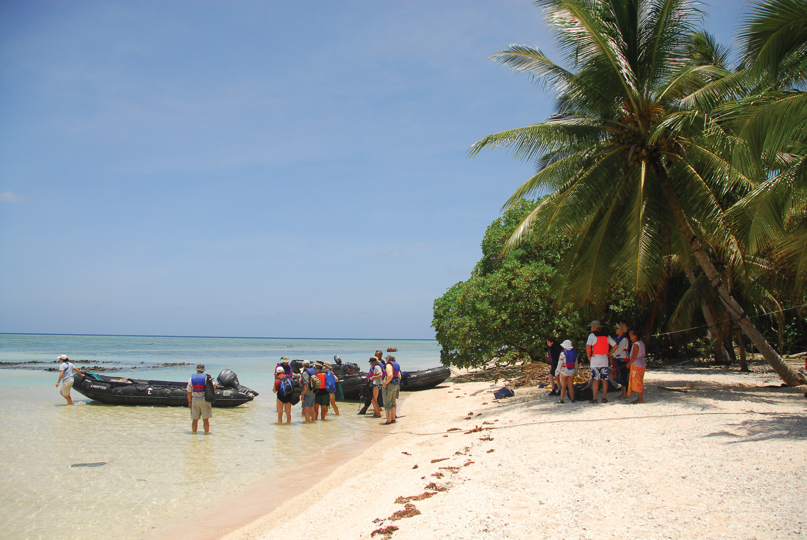 Why take an expedition cruise? - Eagle-Eye Tours