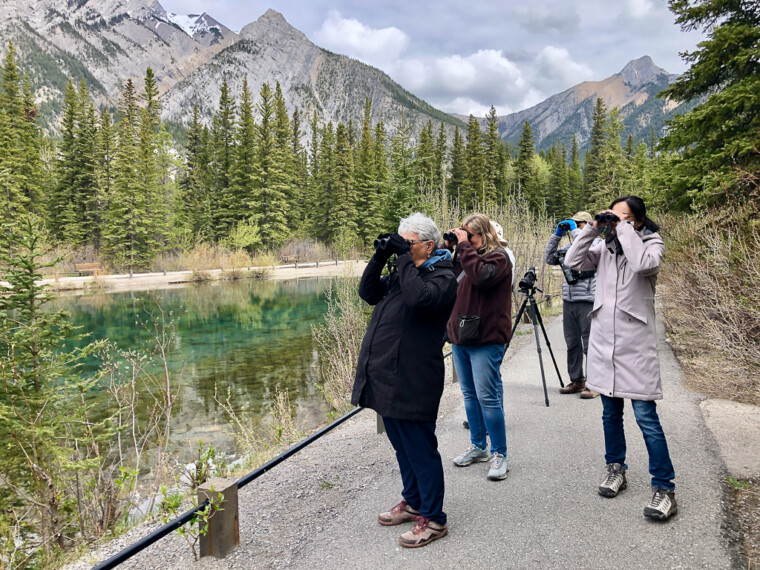 Canadian Rockies: Kananaskis & Banff Birding Tour Trip Report 2022 ...