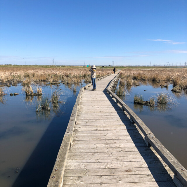 Canadian Rockies: Kananaskis & Banff Birding Tour Trip Report 2022 ...