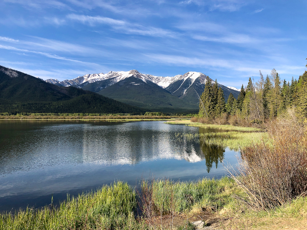 Canadian Rockies: Kananaskis & Banff Birding Tour Trip Report 2022 ...