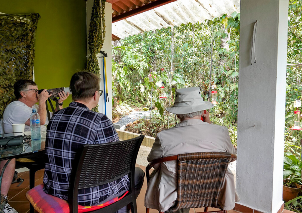 Panama: The Canal Zone and Darien Trip Report March 2023 - Eagle-Eye Tours