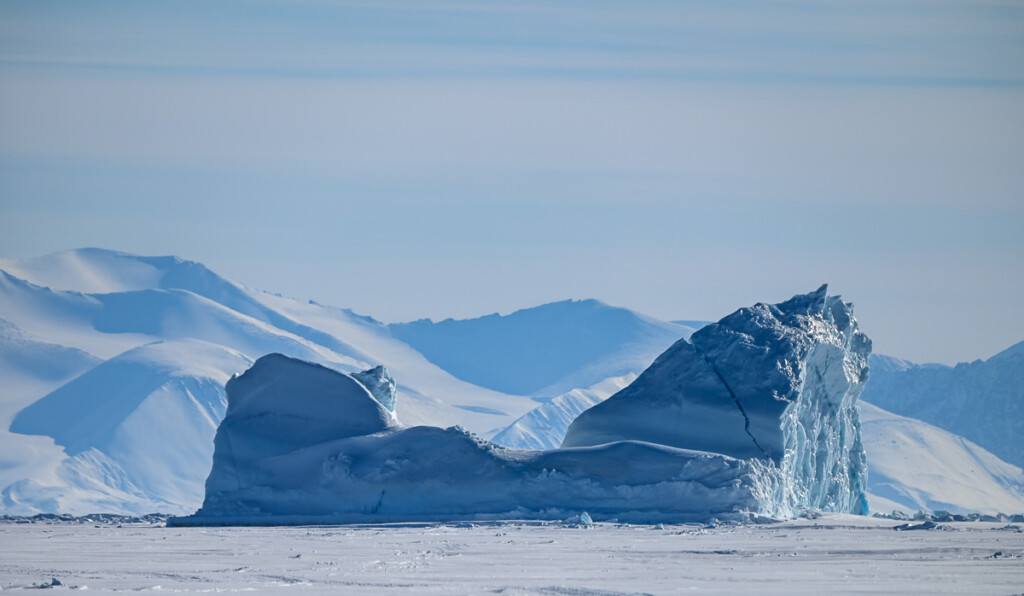 Narwhals & Polar Bears: Pond Inlet Trip Report (May 25 - Jun 1, 2022 ...