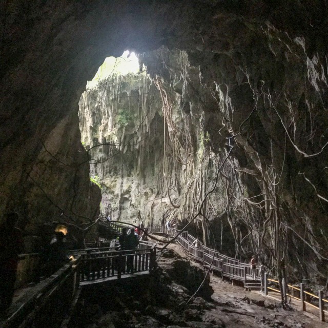 Indonesia Explorer Cruise: Bali, Raja Ampat, Papua New Guinea