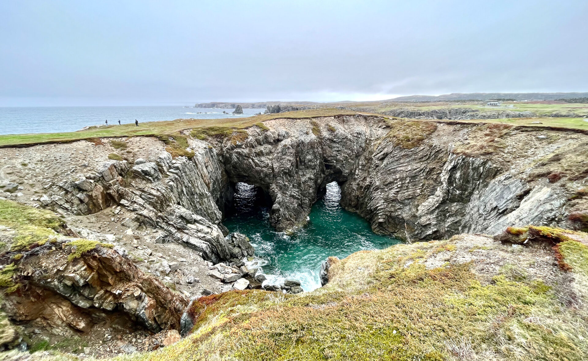 Newfoundland Birding with Canadian Geographic Trip Report 2023 - Eagle ...