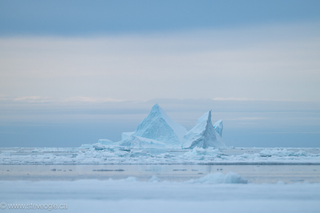 Narwhals & Polar Bears: Pond Inlet Trip Report Jun 14 - 21, 2023 ...
