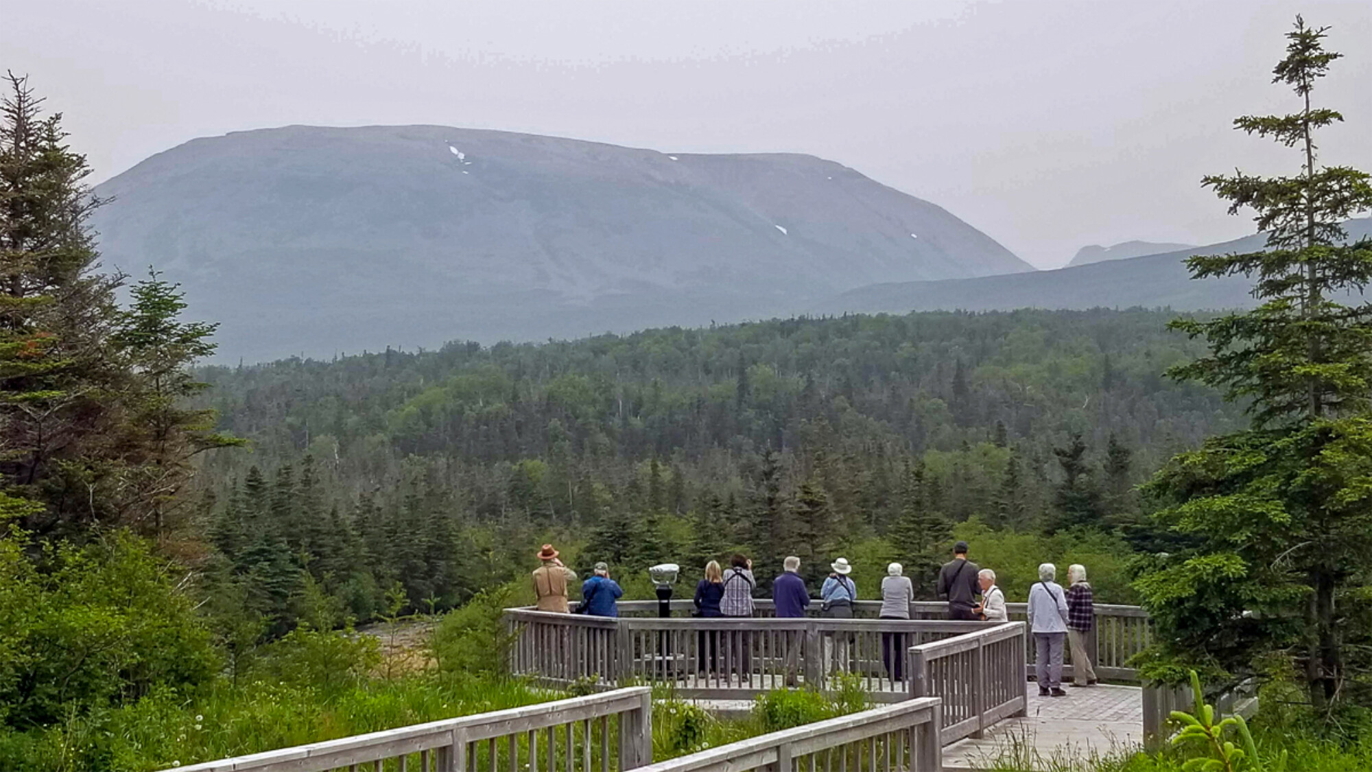 Bird Watching Newfoundland Trip | Witless Bay Ecological Reserve