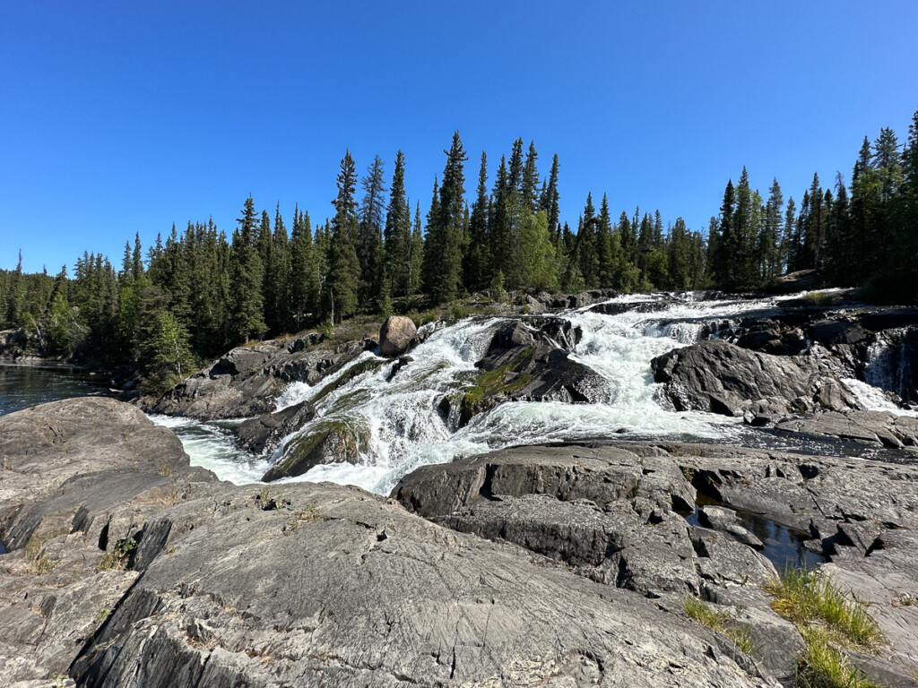 High Arctic Trip: Wildlife Tours in Canada. Whale Watching Newfoundland