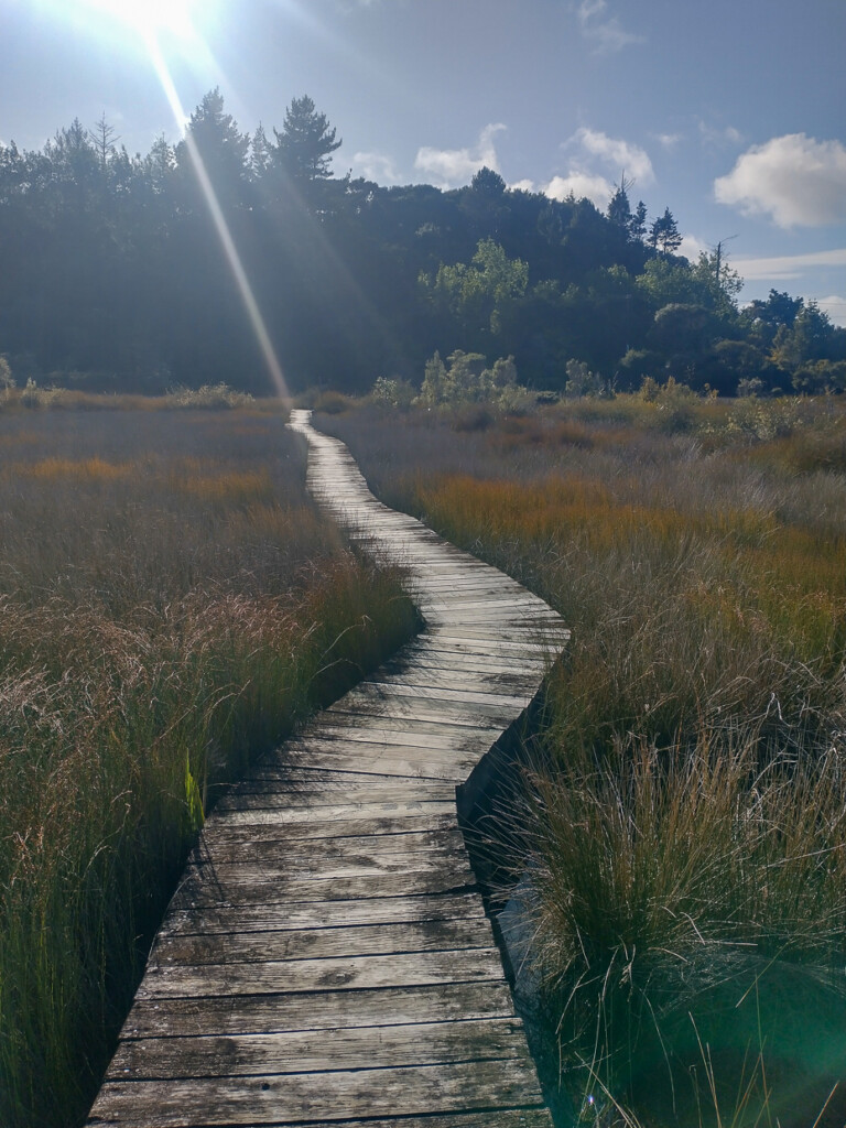 New Zealand Trip Report 2023 - Eagle-Eye Tours