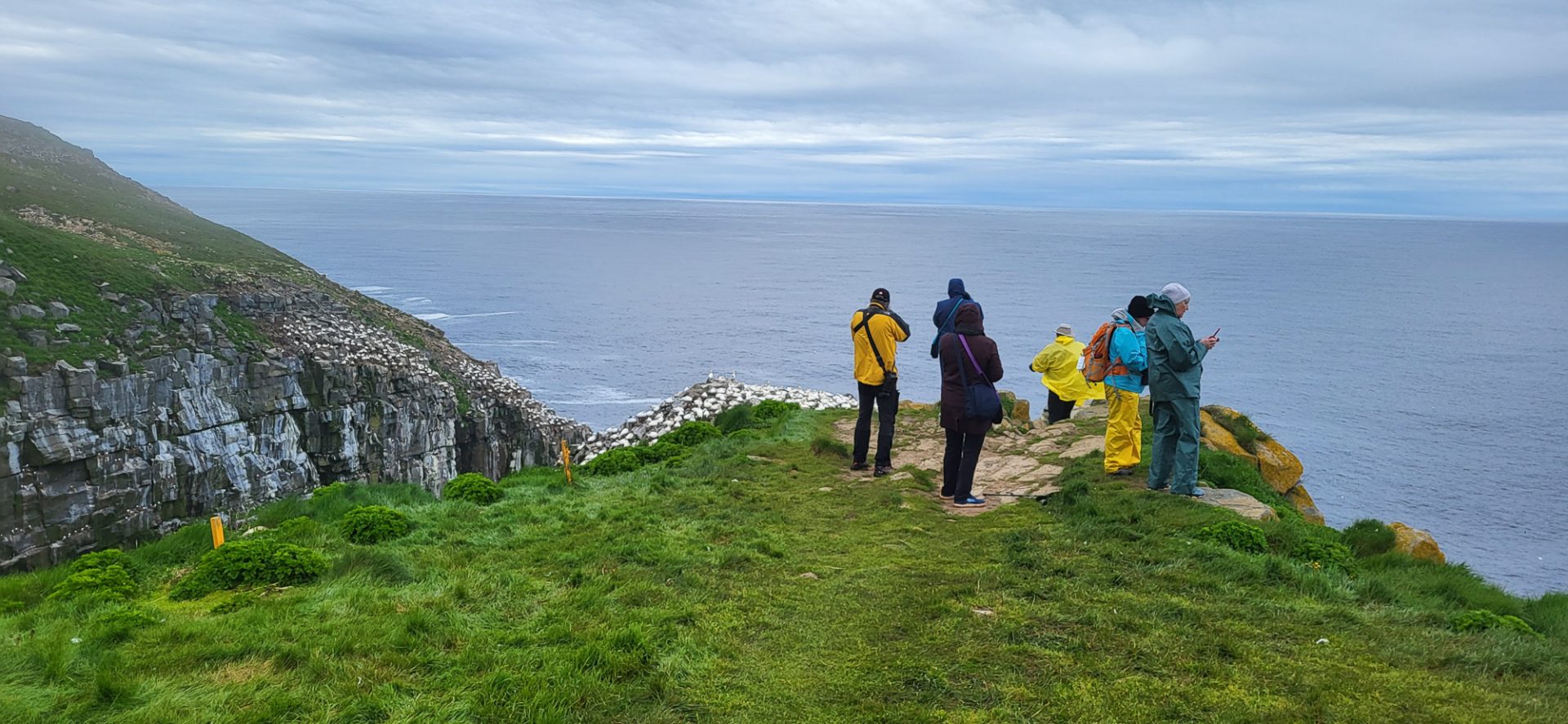 Newfoundland Birding Tour with Canadian Geographic Trip Report (June ...