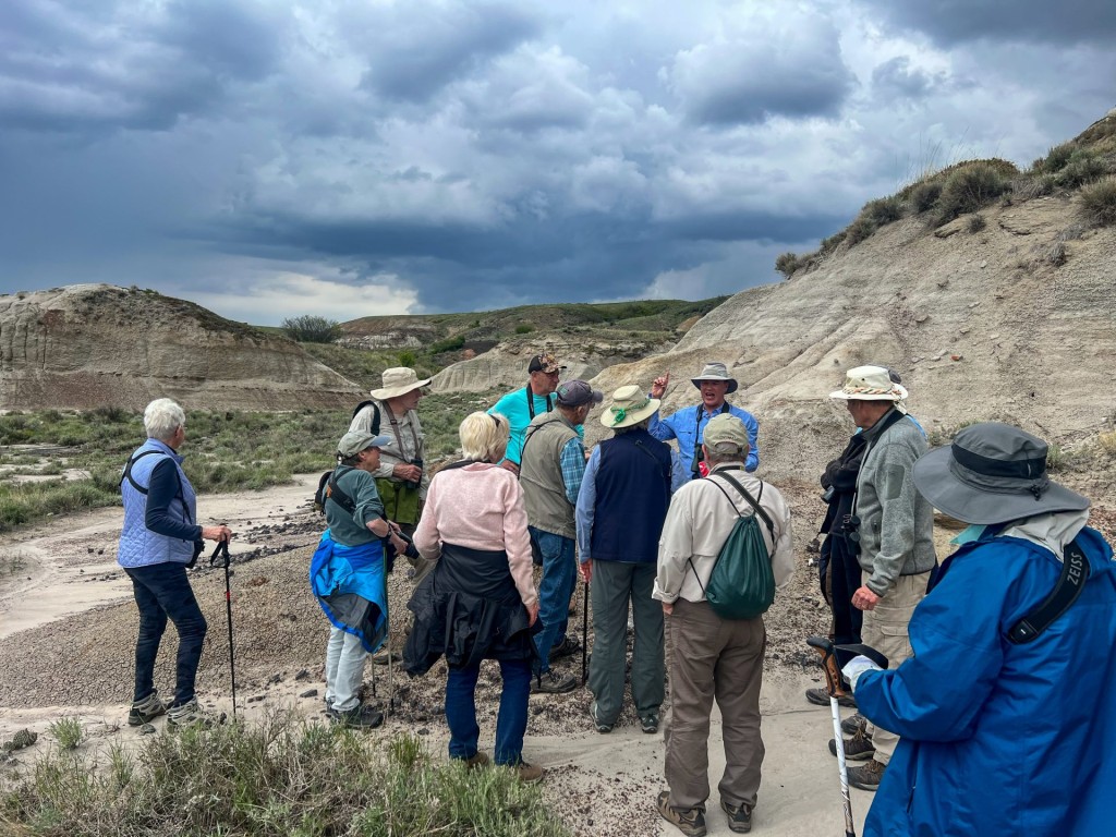 Alberta Birds & Dinosaurs Trip Report (May 25 - 29, 2024) - Eagle-Eye Tours