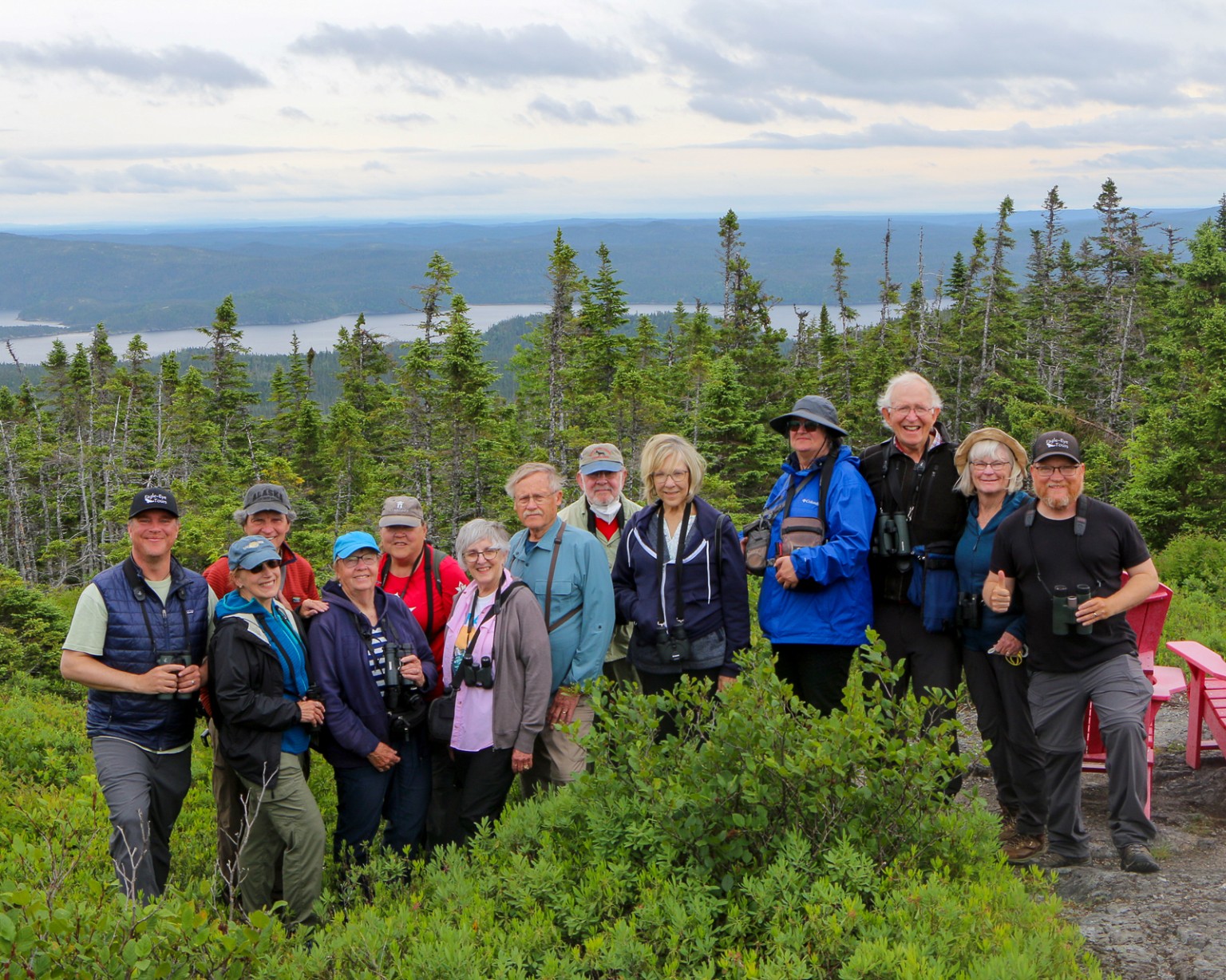 Grand Newfoundland Trip Report (June 24 – July 5, 2024) - Eagle-Eye Tours
